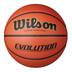 Wilson Evolution Indoor Size 7 Basketball | SportChek