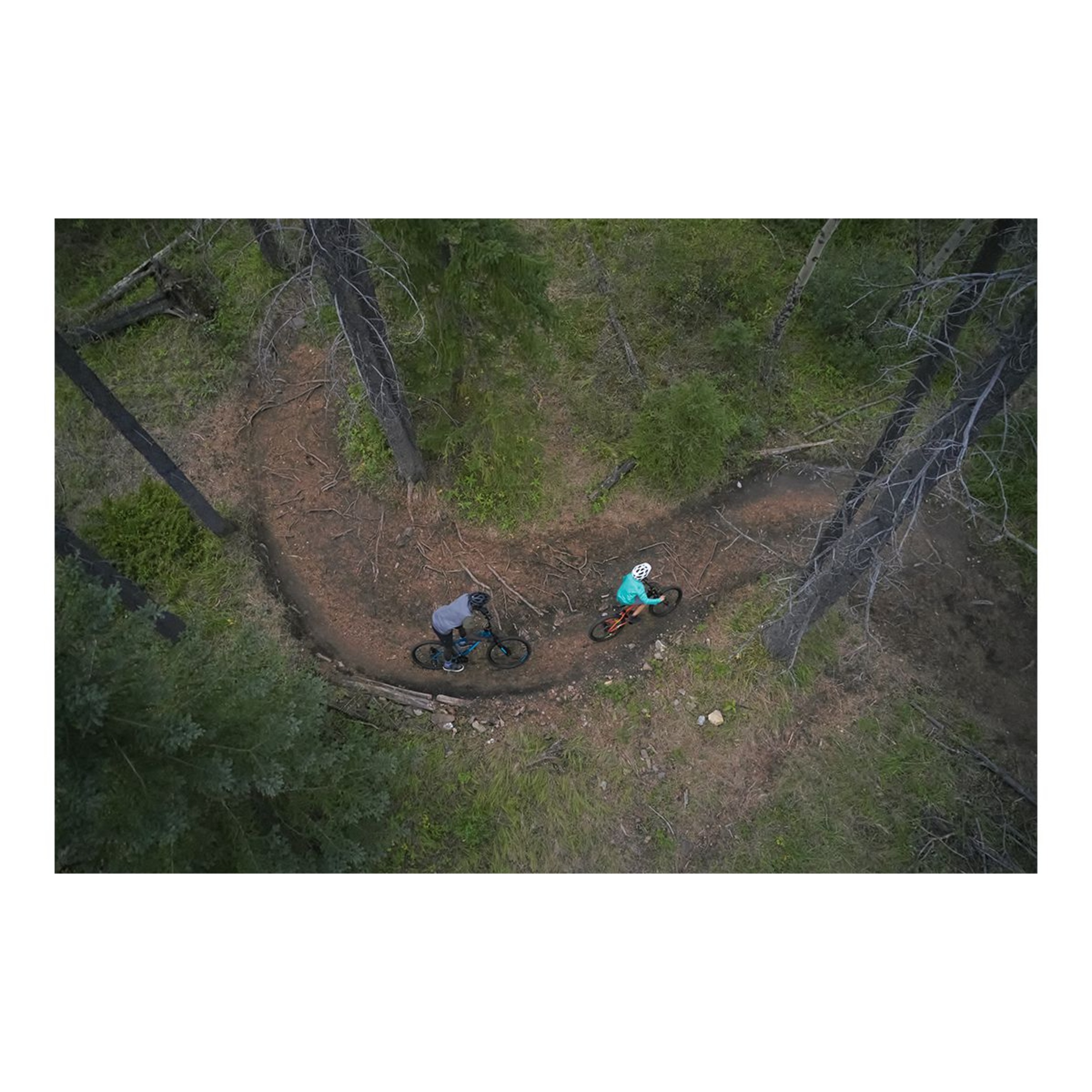 Diamondback Ridgeback 27.5" Mountain Bike | SportChek