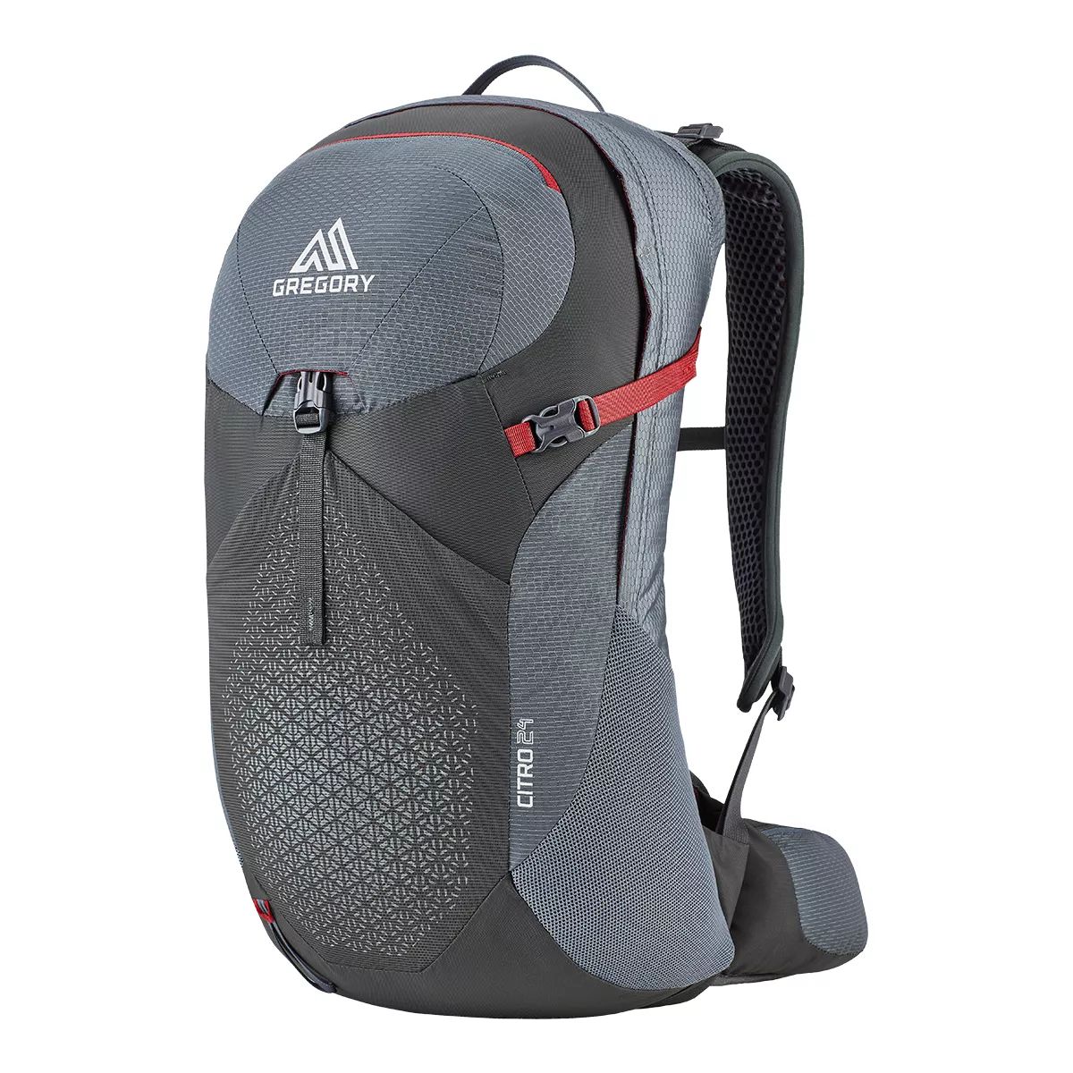 Gregory Citro 24L Backpack | SportChek