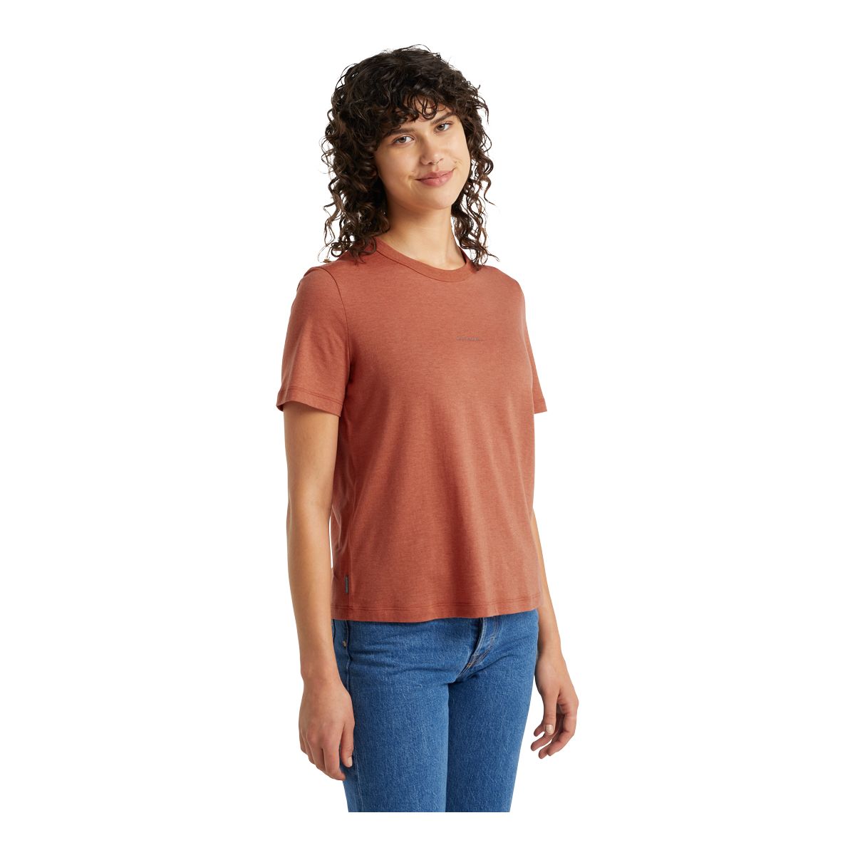 Icebreaker Women's Central Wool Blend Hiking T Shirt | Atmosphere