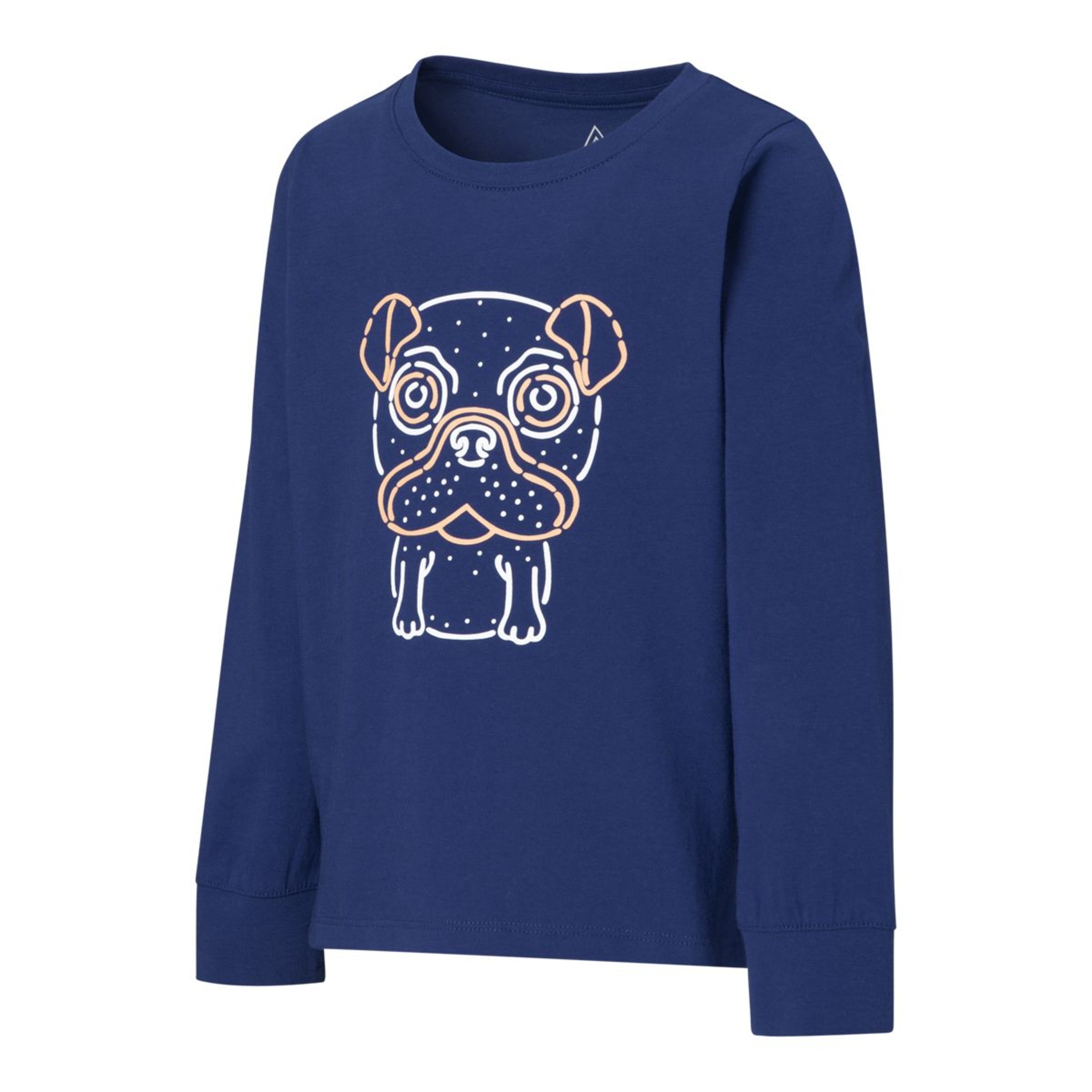 Ripzone Boys' 2-6 Quetico Graphic Long Sleeve Shirt | SportChek